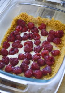 Raspberry Pecan Dessert Bars - Stef's Eats and Sweets