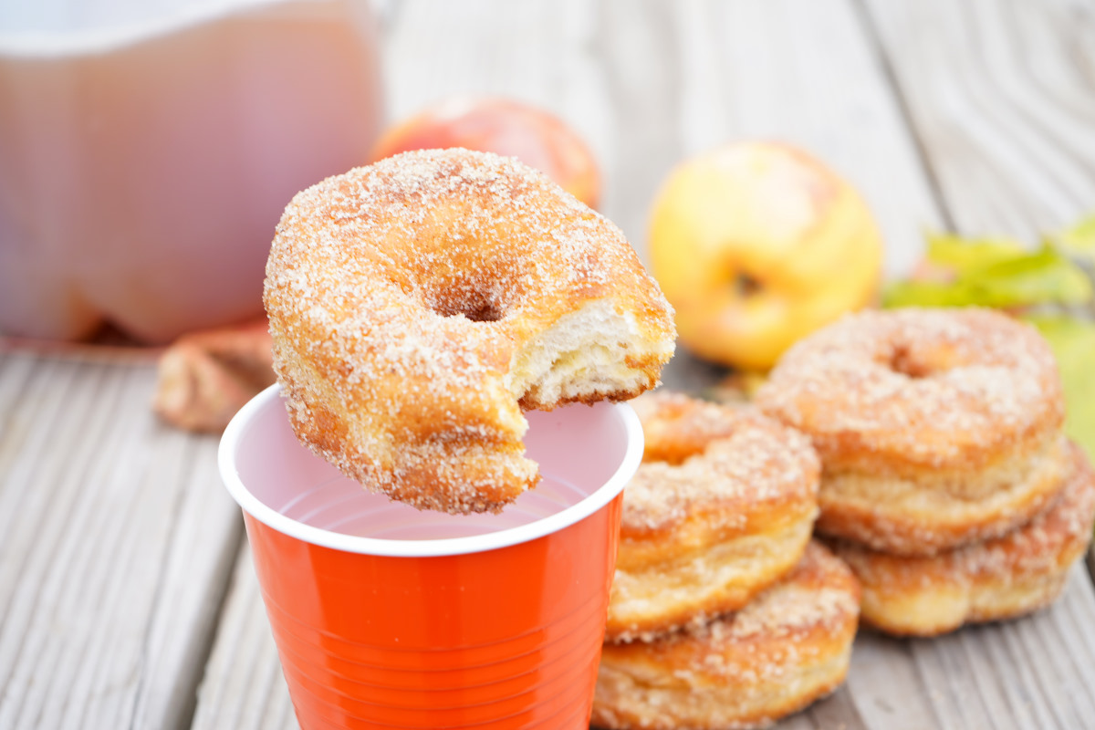 Apple Pie Spice Campfire Donuts - Stef's Eats and Sweets